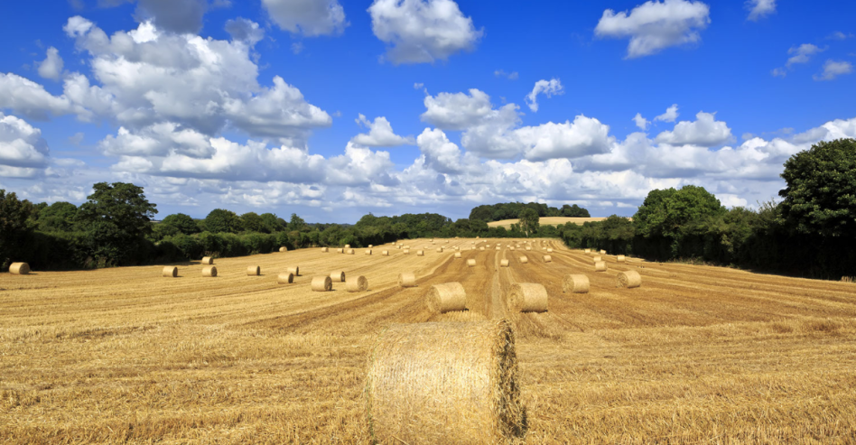 NFFN NI: Future Agricultural Policy Framework Consultation Response ...