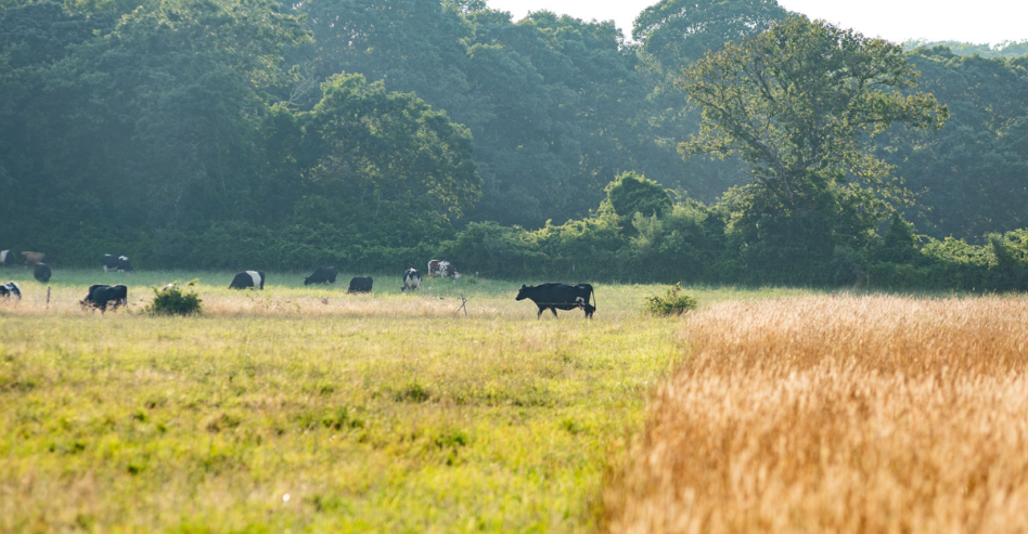 Read: Nature Friendly Food and Farming Motion | Nature Friendly Farming ...