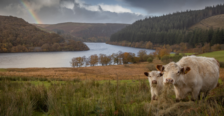 Fully funded flood resilience support on offer to farmers, landowners ...