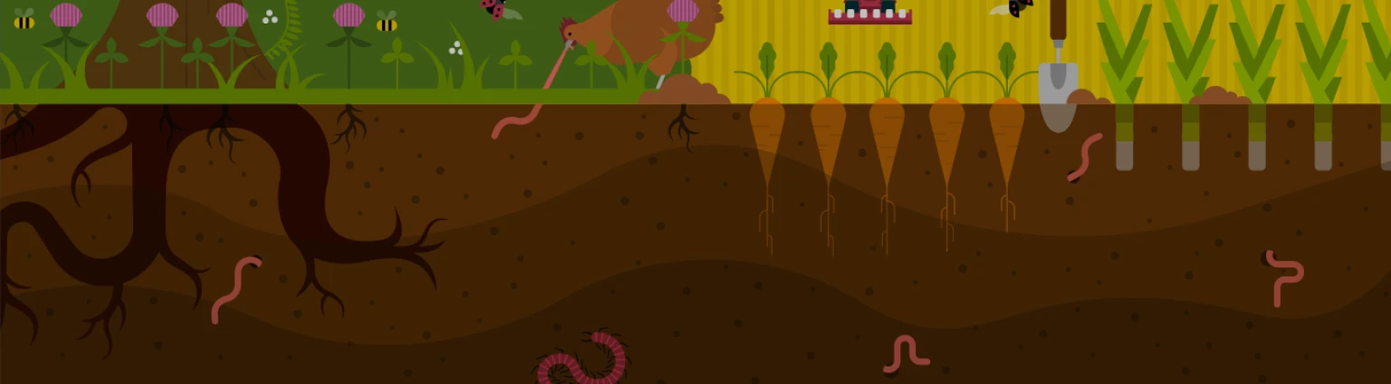 Farm Practices | Nature Friendly Farming Network, NFFN