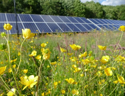 Home | Nature Friendly Farming Network, NFFN