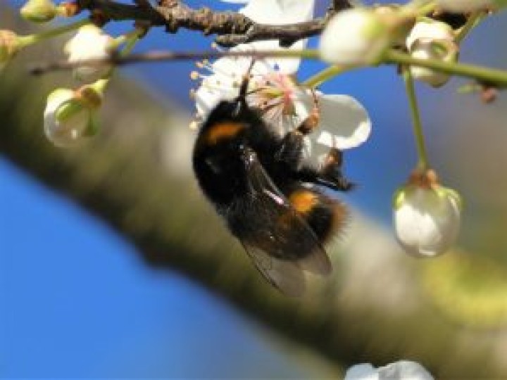 Take Part: NFFN Photography Competition | Nature Friendly Farming ...