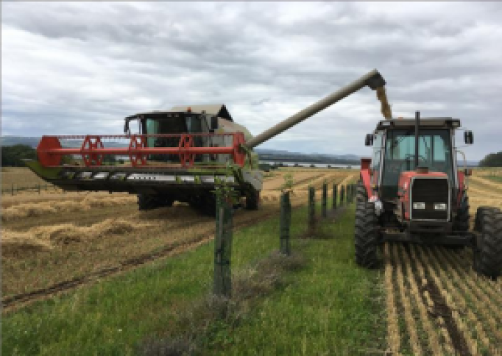 The Woodland Trust: Is agroforestry a win/win for farming and the ...