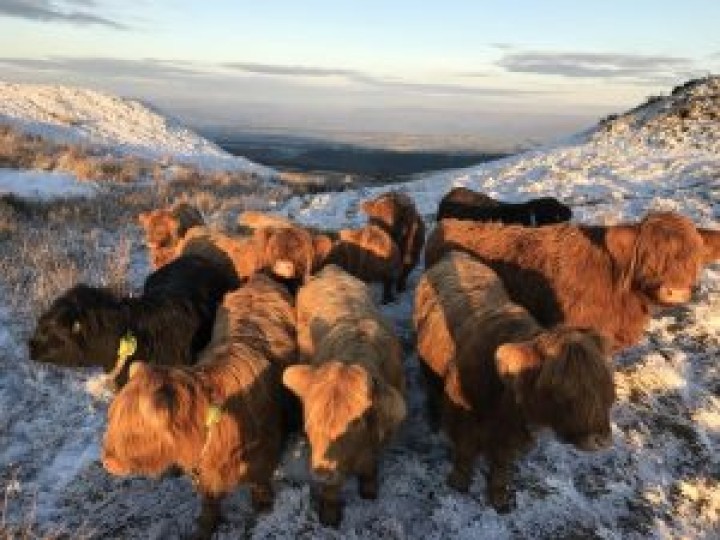 Take Part: NFFN Photography Competition | Nature Friendly Farming ...