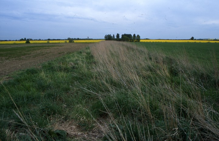 Tim Scott - Lark Rise Farm, Cambridgeshire | Nature Friendly Farming ...