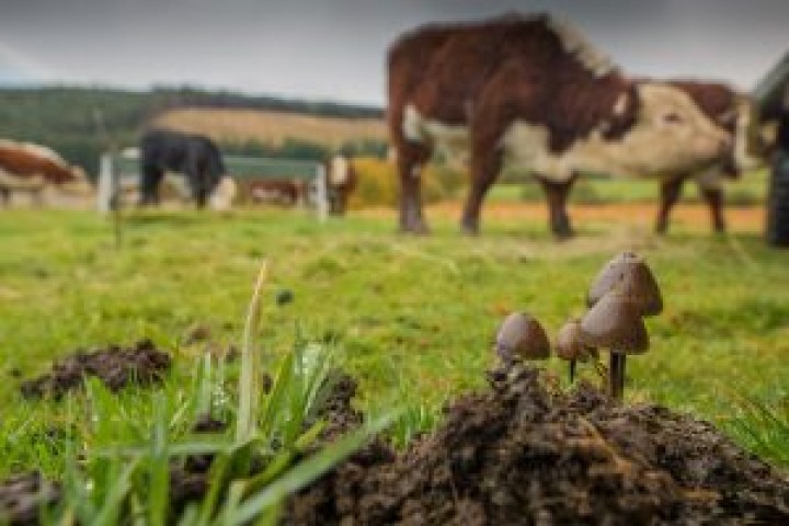 Make 2020 the Year to Start Looking at Your Carbon Footprint | Nature ...
