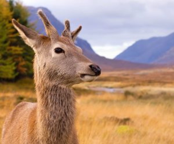 Take Part: NFFN Photography Competition | Nature Friendly Farming ...