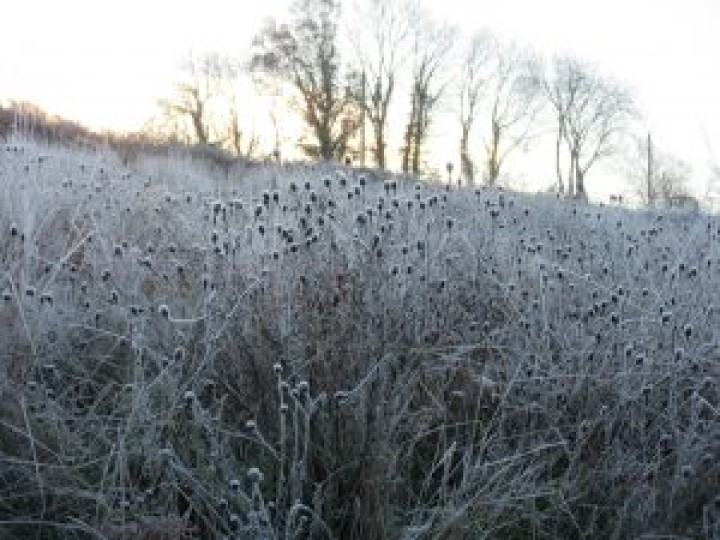 Enter: NFFN Photography Competition! | Nature Friendly Farming Network ...