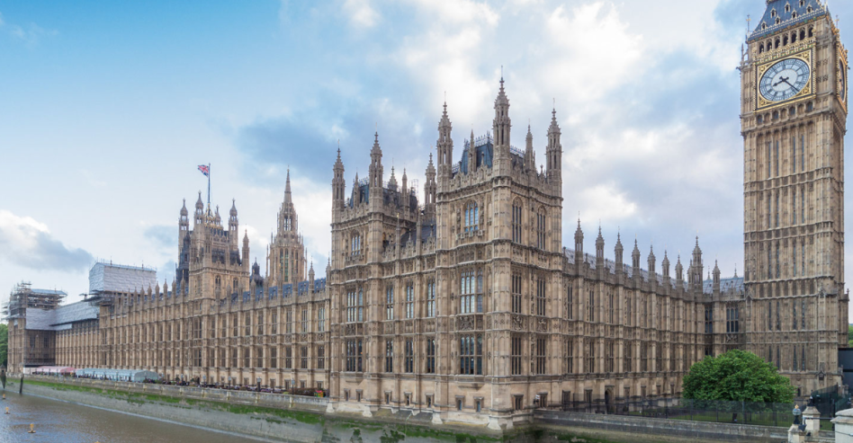 NFFN England response to latest ELM scheme announcement | Nature ...