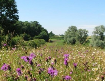 Home | Nature Friendly Farming Network, NFFN