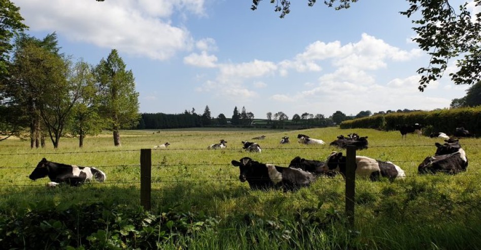 Measuring Progress: Lessons learnt from NFFN NI's auditing project ...