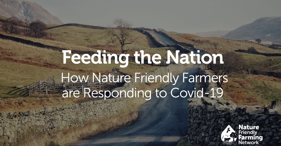 Feeding the Nation: How Nature Friendly Farmers are Responding to Covid ...